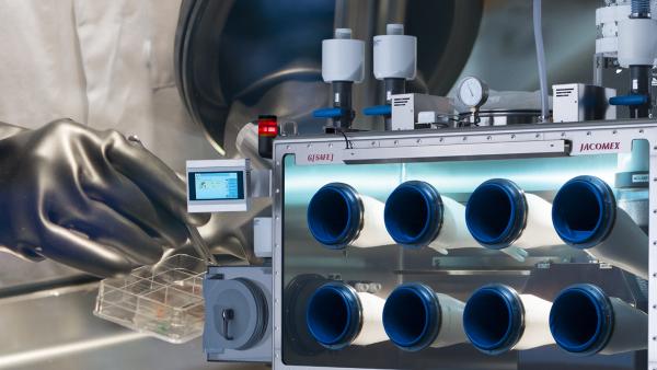 Jacomex, le confinement en toute sécurité | Bref Eco