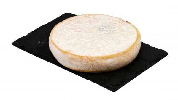 Pourquoi le Syprol demande la modification du cahier des charges du ...