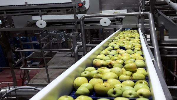 Le groupe Rivoire va monter en puissance à Reventin-Vaugris | Bref Eco